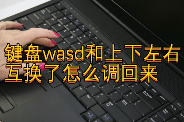 键盘wasd和上下左右互换了怎么调回来 - 应用教程 - 芒果玩
